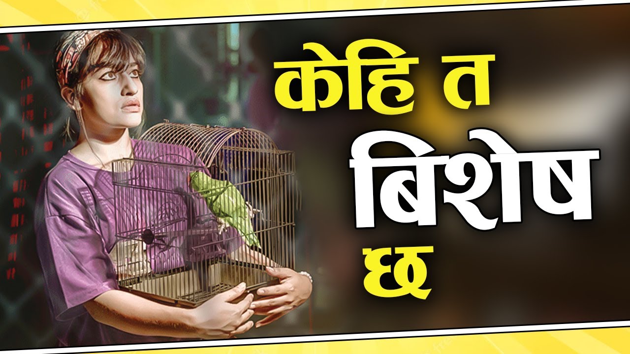 Bahaab (बहाव) | Something is NEW - Bahaab Movie Review | Movie Buff - YouTube