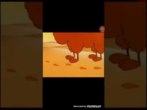 Küfürbaz Haydo çölde