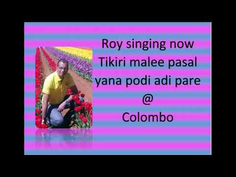 Tikiri Malee Pasal Yana by Roy Dissanayake - YouTube