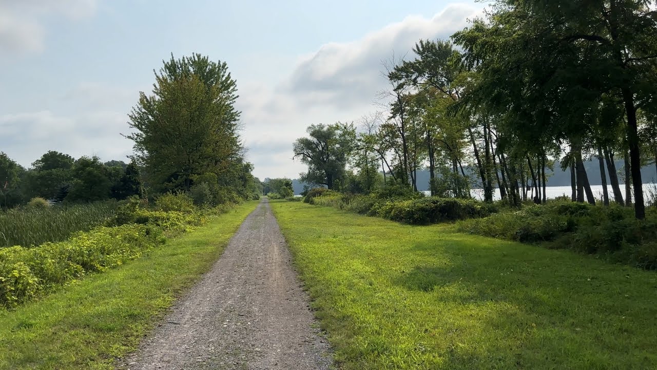 Song of the Cicadas | Sydenham Lake Shoreline Walk - YouTube
