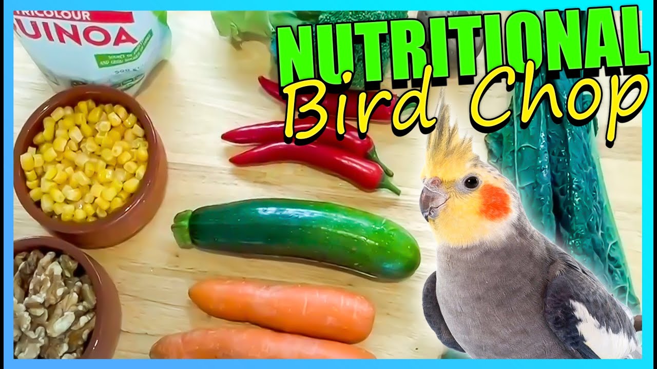 Healthy Meal Your Bird Will Love! | Nutritious Bird Chop - YouTube