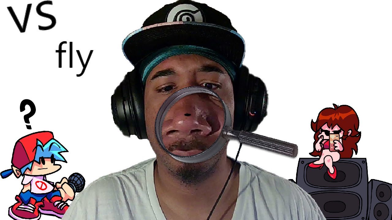 THIS ANNOYING PEST GOT A MOD?!?! | FNF Mods: Vs Fly Mod - YouTube