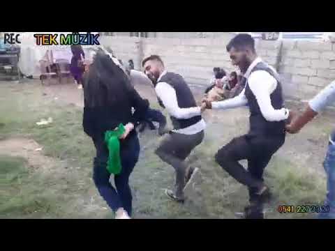 Tek müzik yeni halay başı kıza dikkat edin...