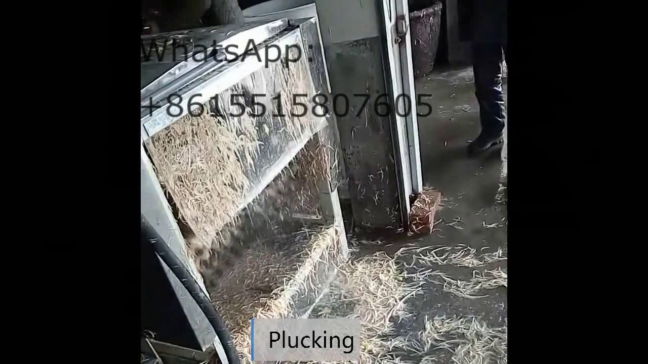 Automatic Poultry Chicken Duck Scalding And Plucking Halal Chicken Cone ...
