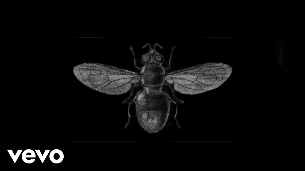 Felipe Renfro - Falling In The Void (Visualizer) - YouTube