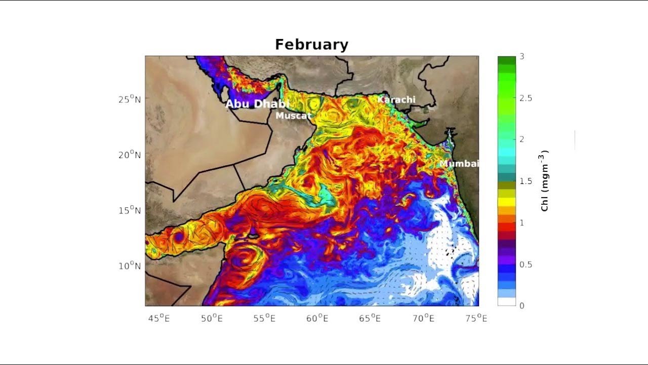 Dead Zone Map Gulf Of Mexico Dead Zone Worse In Recent Decades