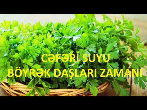 Maydanoz - Böbrek Taşı için Kullanımı
