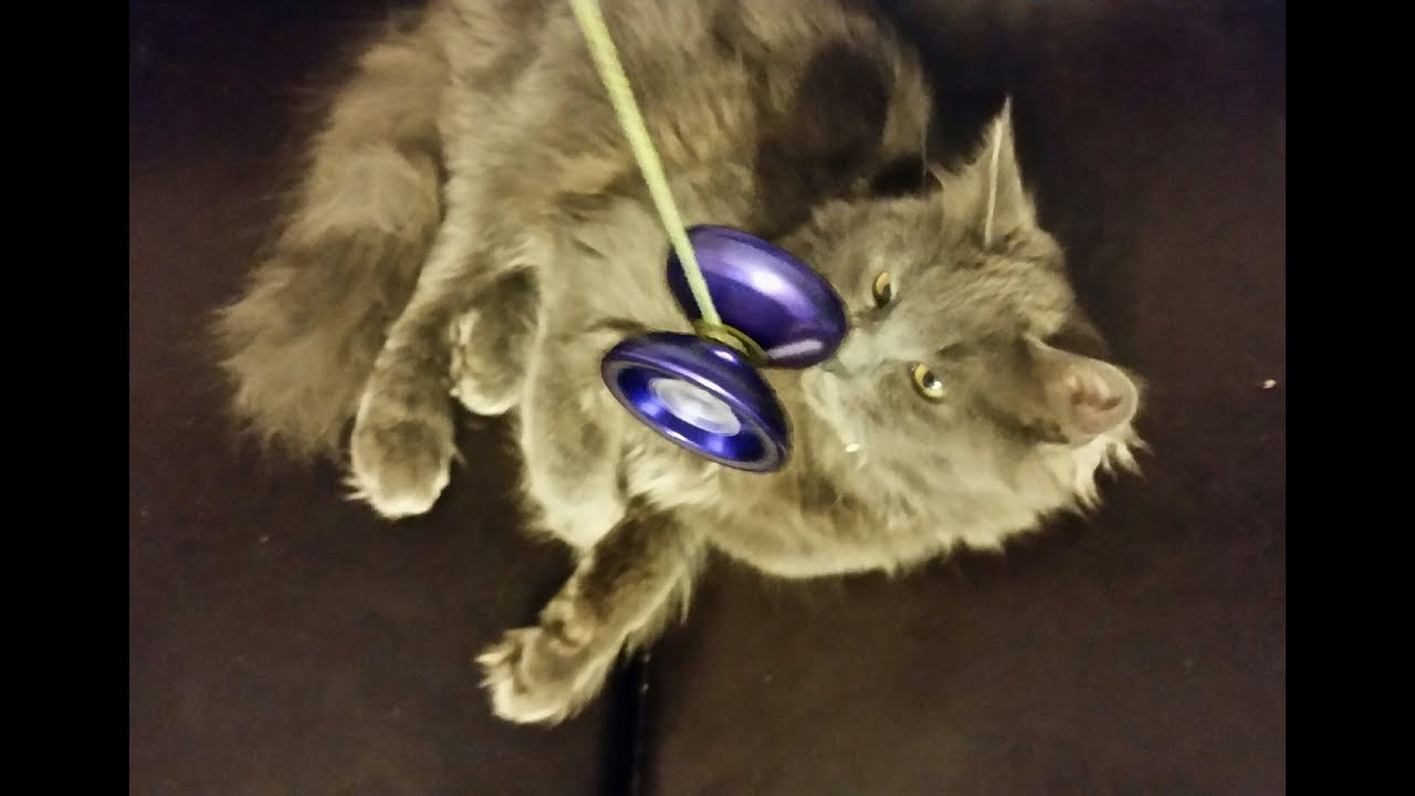 Magic Yo-Yo N9 Floating review - YouTube