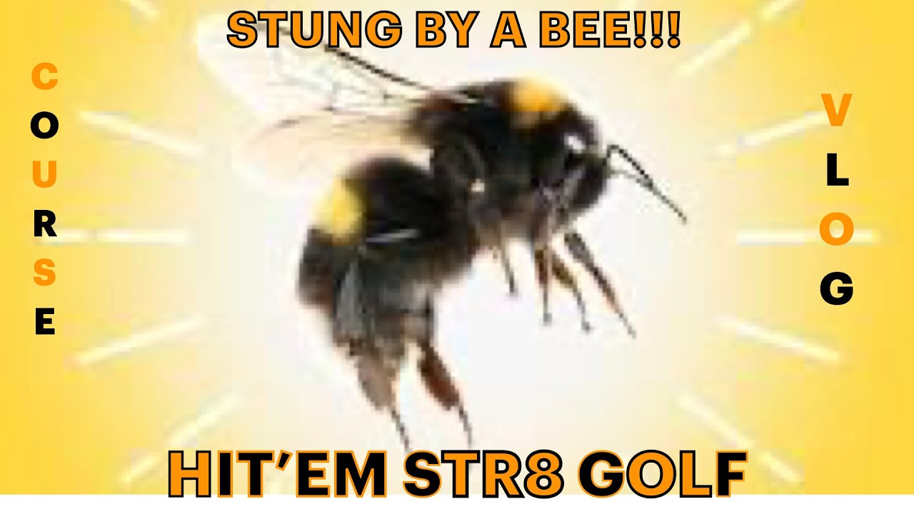 STUNG BY A BEE! HIT'EM STR8 GOLF COURSE VLOG - HONEY BEE GOLF CLUB ...