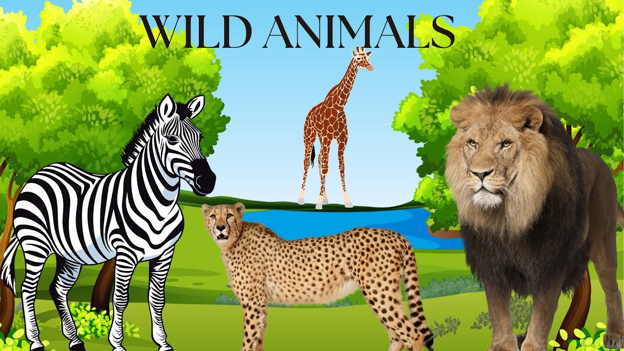WILD ANIMALS BEAUTY/WILDLIFE /ANIMAUX SAUVAGE - YouTube