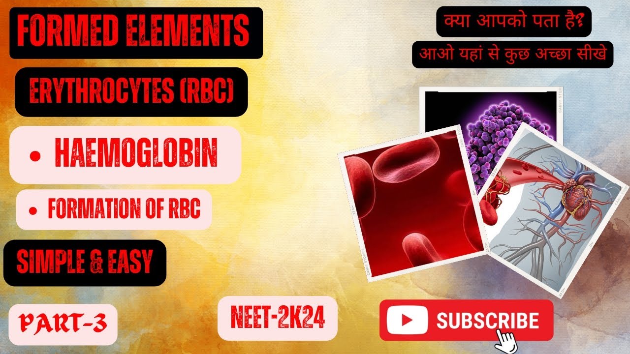 Body fluid & circulation part-3 Formed Elements #RBC #haemoglobin # ...