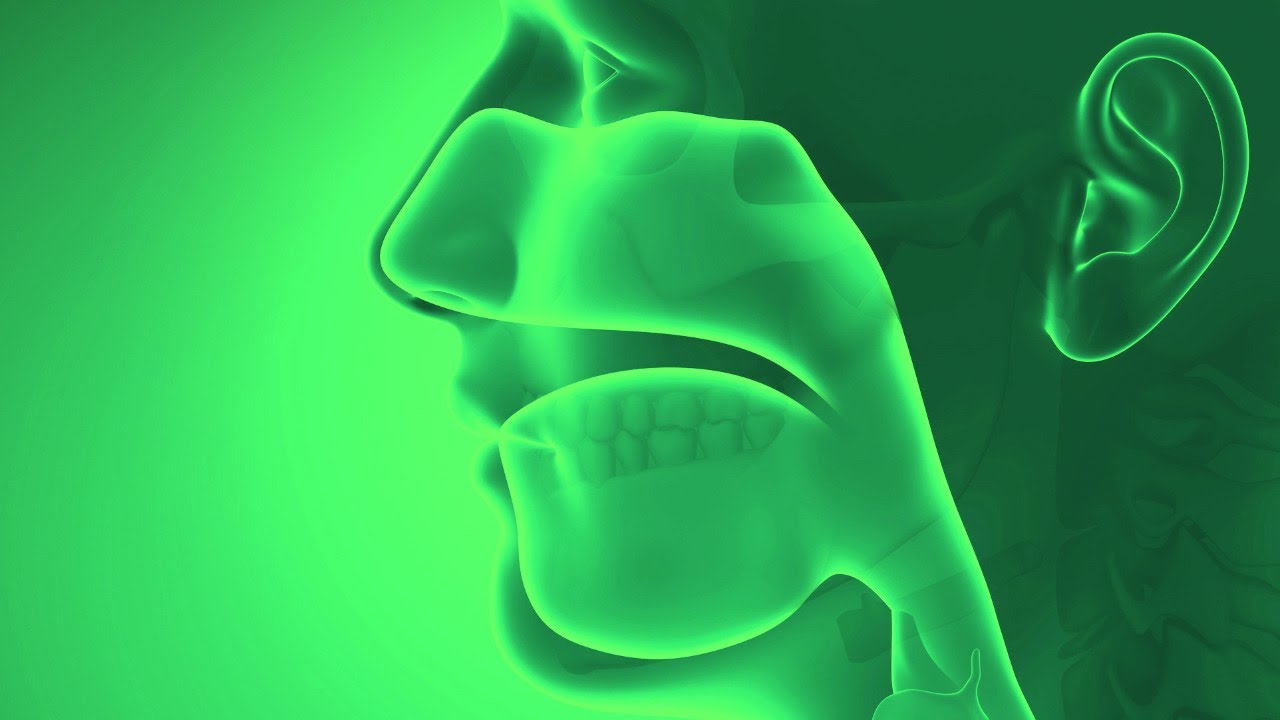 WEBinar - 1H pour mieux agir face au cancer - #1 Les cancers ORL - YouTube