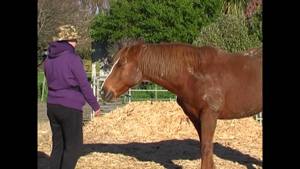 Head Rocking for Poll Relaxation - YouTube