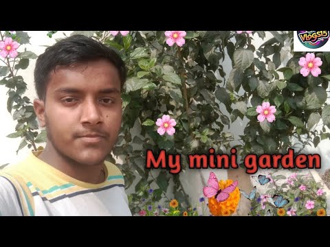 My mini garden|| my mini garden|| my 3rd vlog|| - YouTube