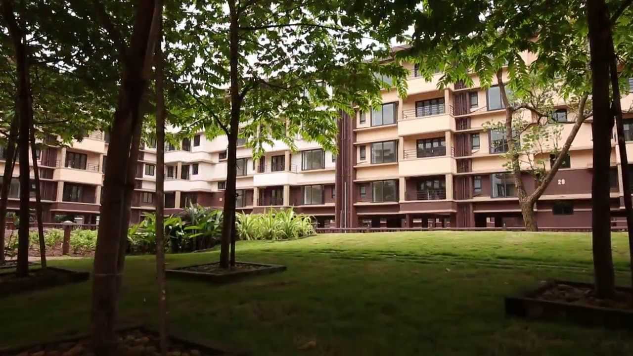 milroc kadamba - YouTube