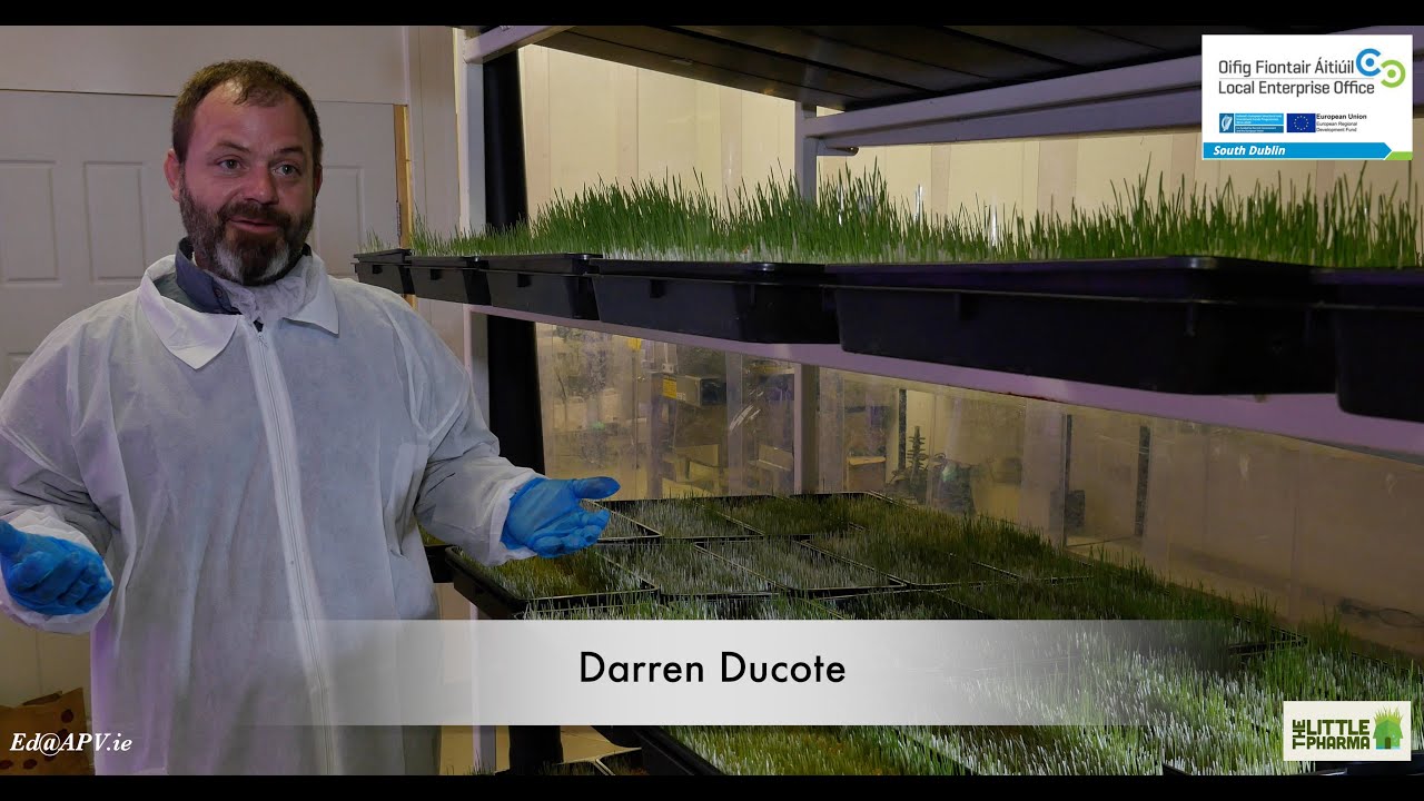 Darren Ducote - YouTube