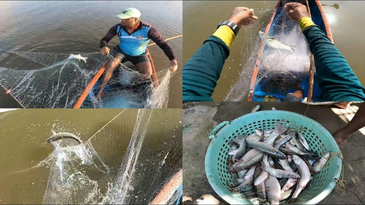 दोन महिन्या नंतर जालिमध्ये सापडली टोपली भरून बोईट मासे | Gill Net ...