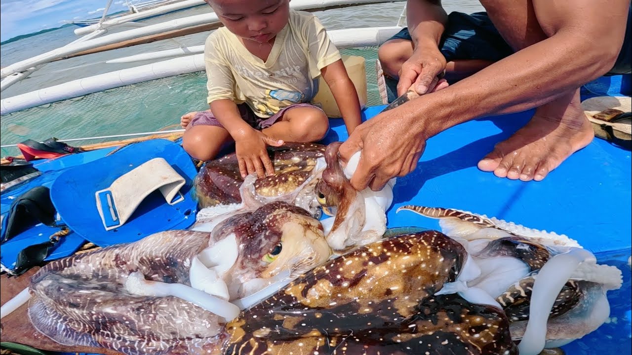 CUTTLEFISH (bagulan) Catch & Sell.. - YouTube