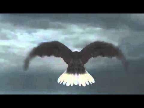 Türkiyəli gənclər Qarabağ haqqinda necə marağli video çarx hazirlayiblar