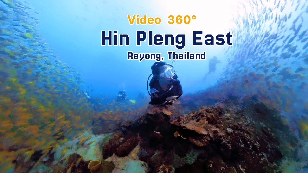 VR 360° Scuba with Ton of Fishes in Hin Pleng, Rayong, Thailand - YouTube