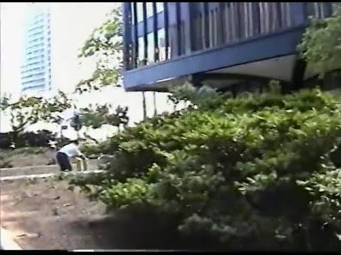 롤슈퍼맨 추가증언 - 로스트 미디어 마이너 갤러리