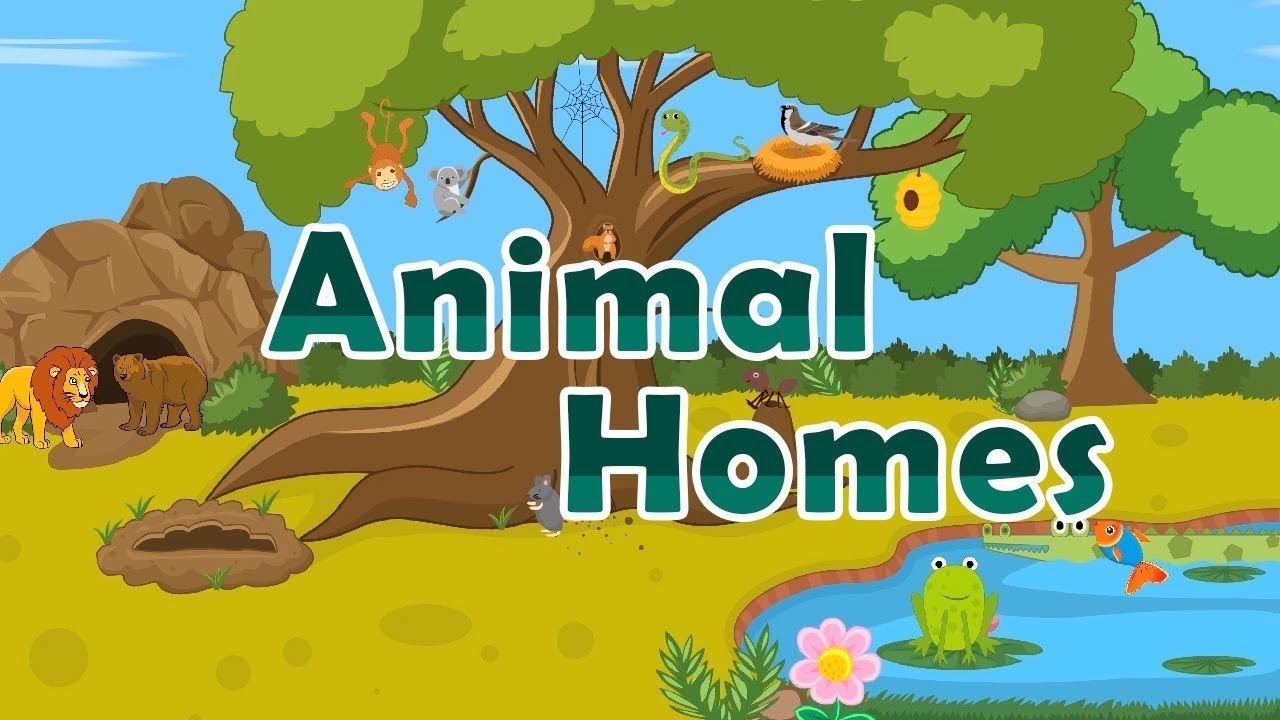Animals Homes|In English|Homes Of Animals|Easy learning Platform For ...