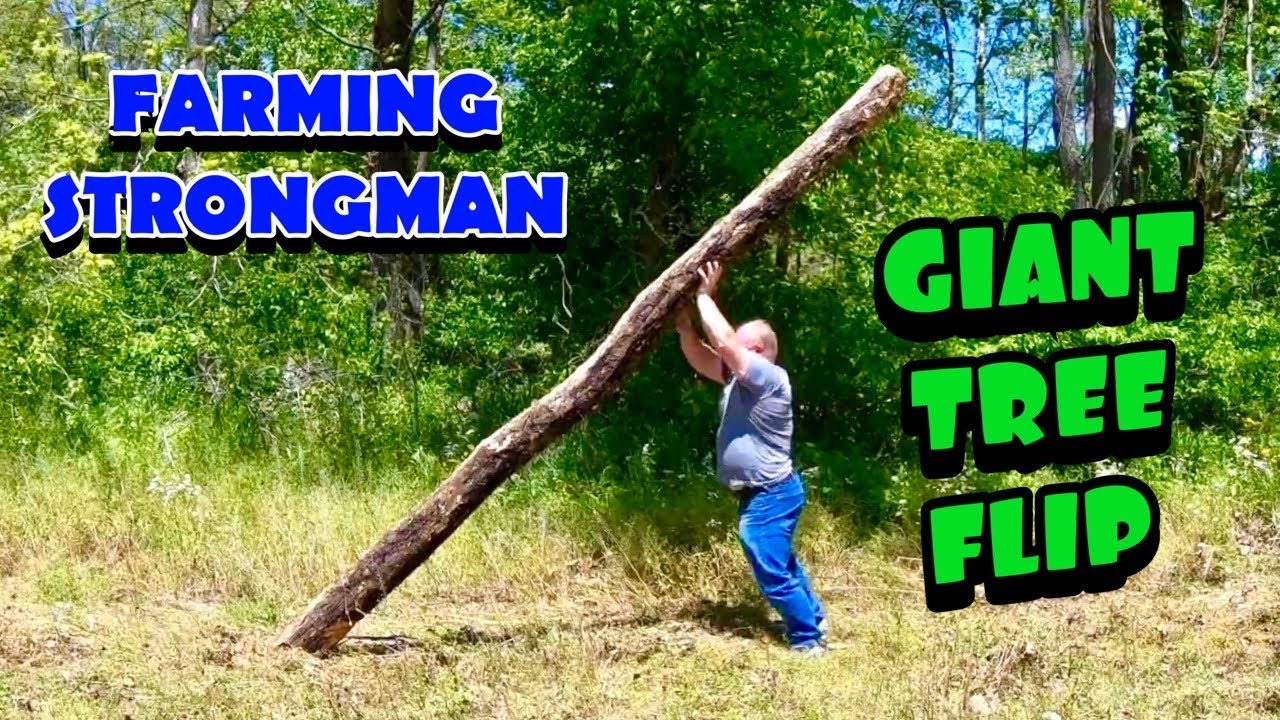 FARMING STRONGMAN with the GIANT TREE FLIP! - YouTube