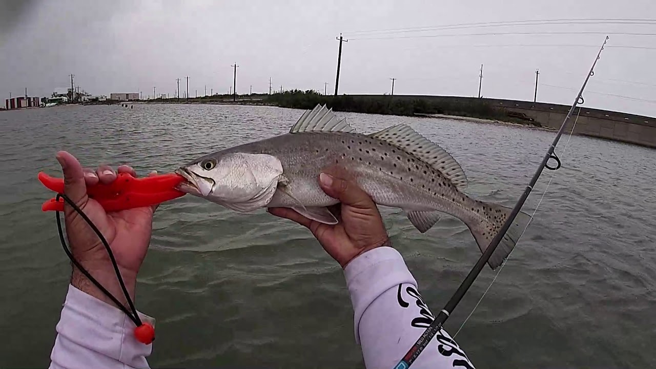 Catching My Personal Best Stringer Of Speckled Trout Using D.O.A Lures ...