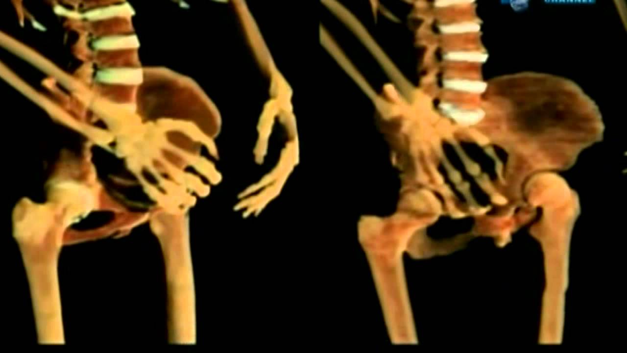 Mystery of perfect human body p-1 - YouTube