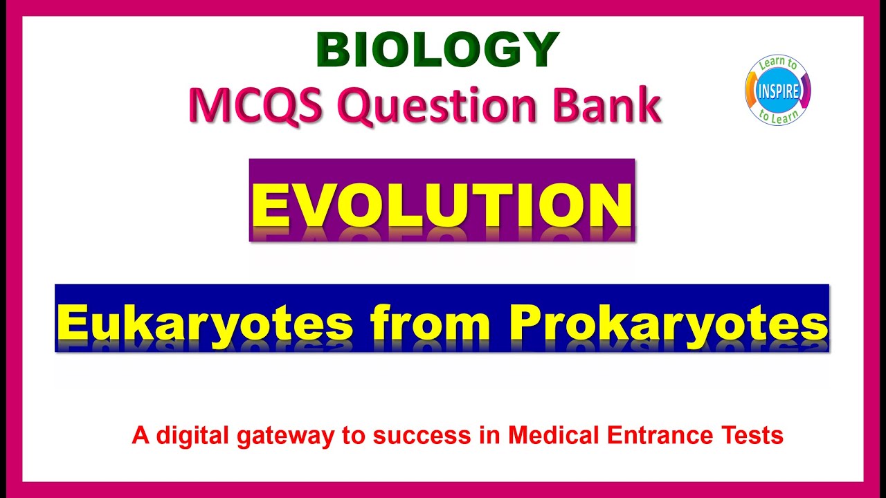 Evolution of Eukaryotes from prokaryotes #Eukaryotesfromprokaryotes # ...