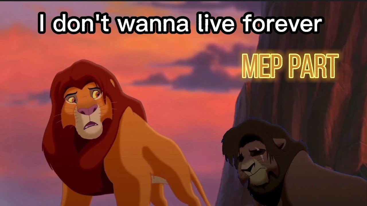 Simba & kovu : i don't wanna live forever mep part for sid chang - YouTube
