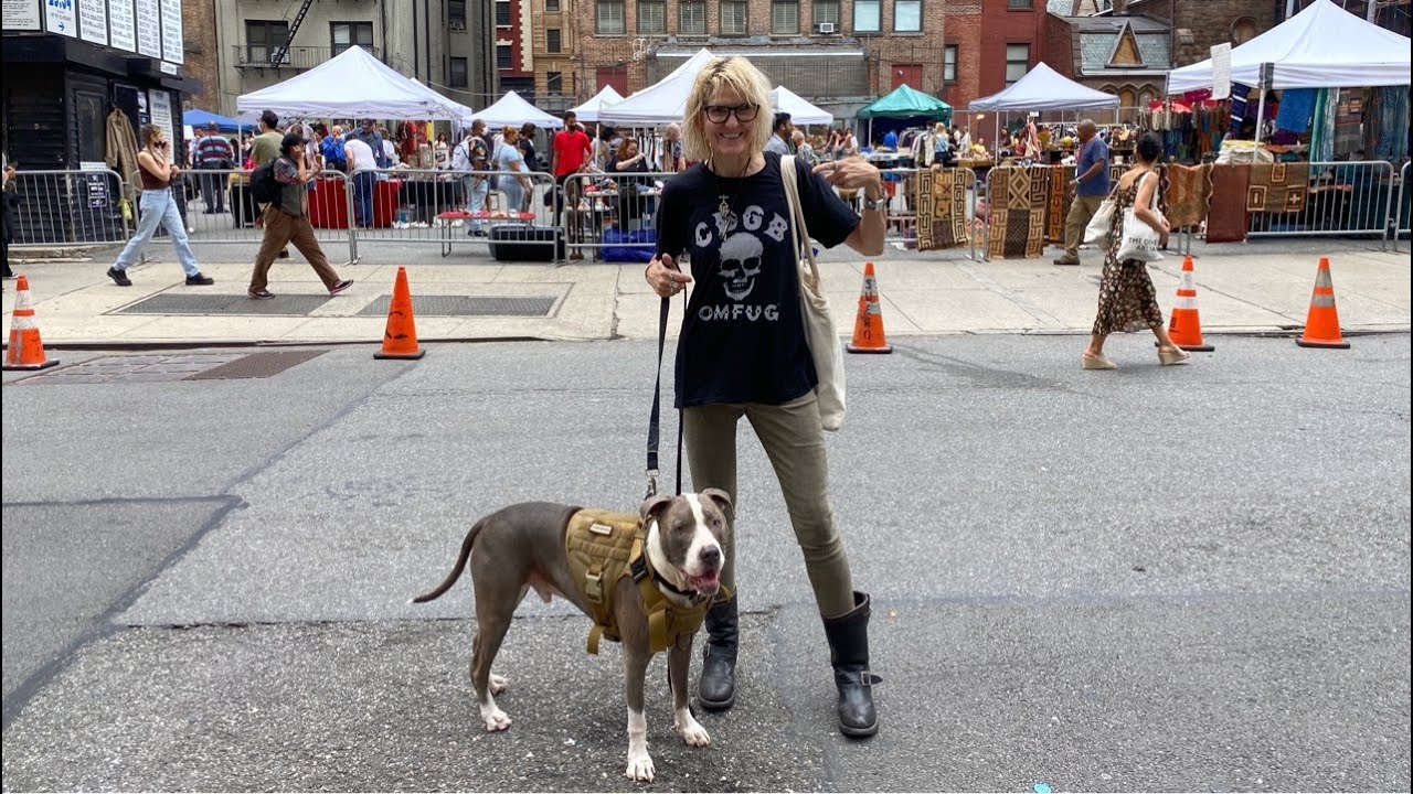 NYC LIVE Exploring Chelsea Flea Market : New York City’s Most Famous ...