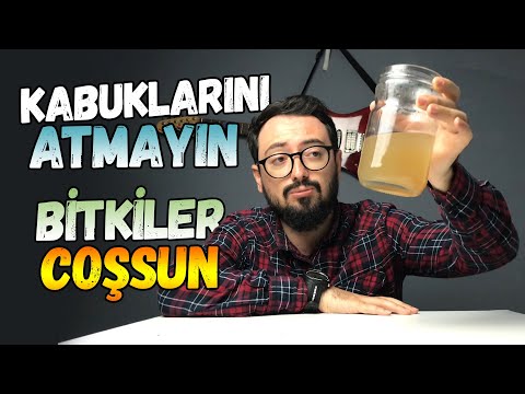 Bitki Coşturan Sıvı Gübre | Muz Kabuğu Suyu