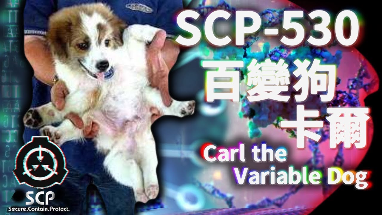 SCP Foundation SCP 基金會 SCP-530 百變狗卡爾 Carl the Variable Dog (粵) - YouTube