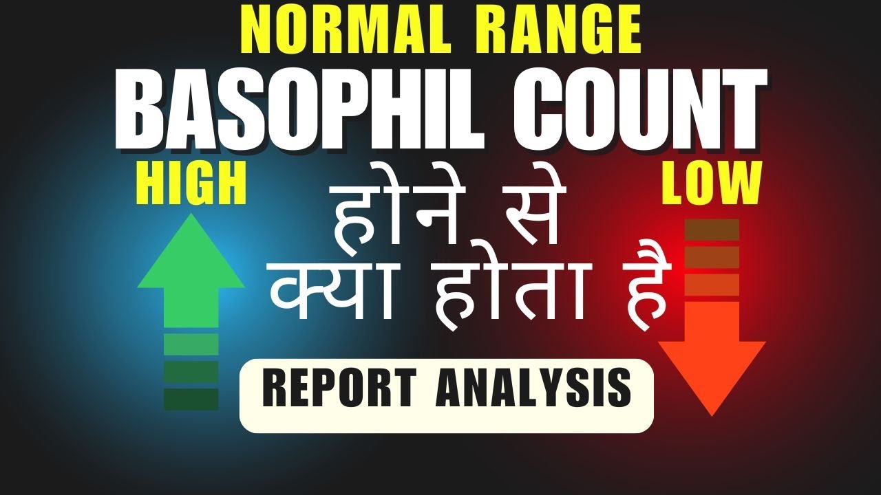Basophils low in blood test | basophils normal range | Basophils high ...