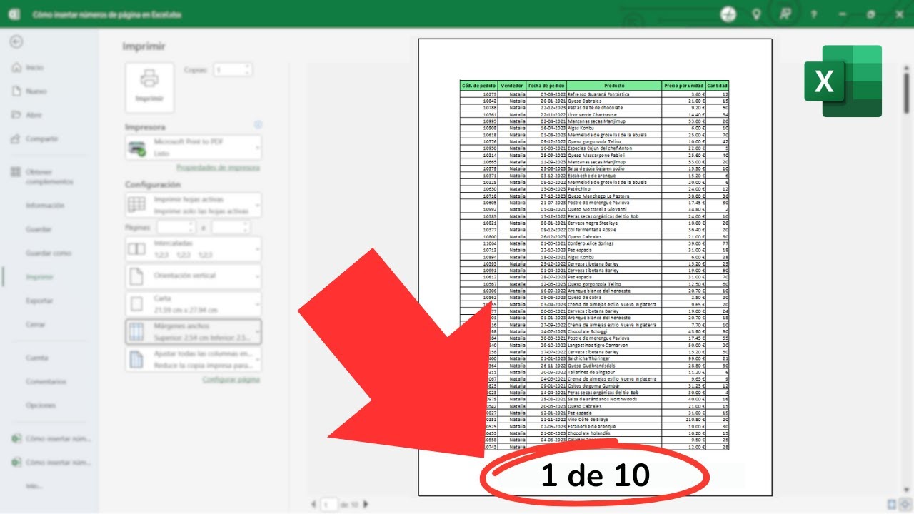 1️⃣2️⃣3️⃣Cómo poner números de página en Excel ("1"; "1 de 10" ; "1/10") - YouTube