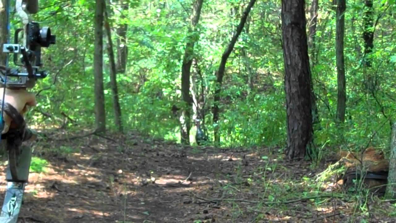 Turkey Head Shot - Square Circle Archery Shoot 8-21-11 - YouTube