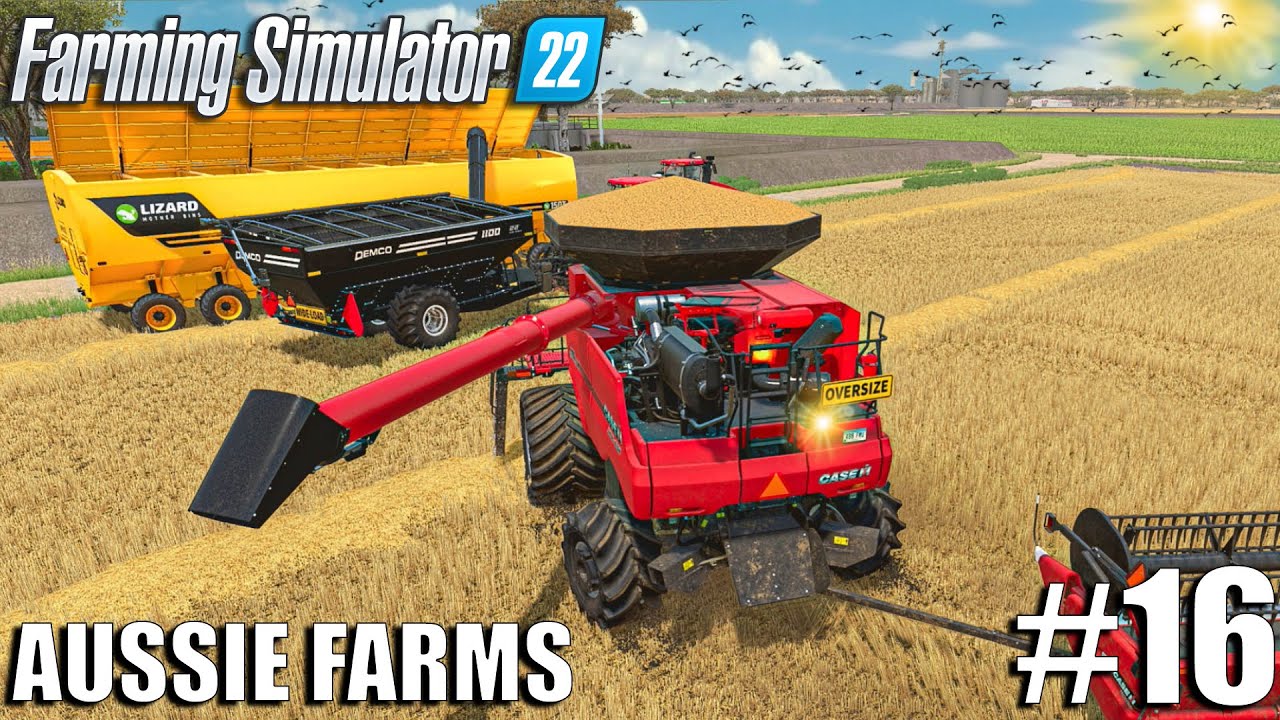 First WHEAT HARVEST with The NEW CASE AXIAL | Aussie Farms 22 | Farming ...