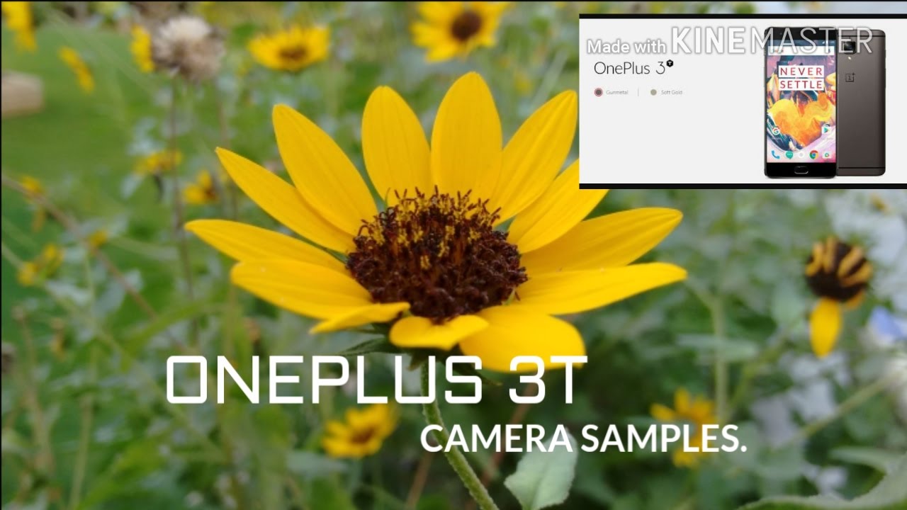ONEPLUS 3T CAMERA REVIEW | SAMPLE PHOTOS | BEST CAMERA EVER📷? - YouTube
