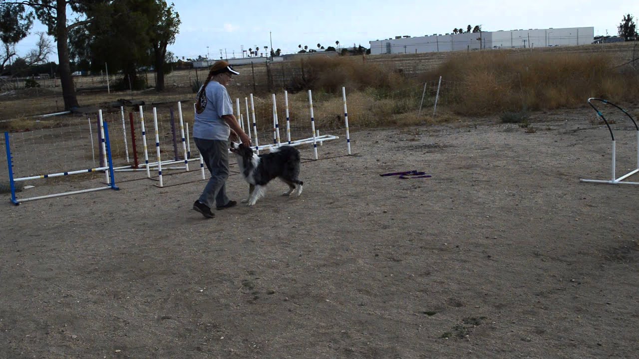 Nugget leash - YouTube