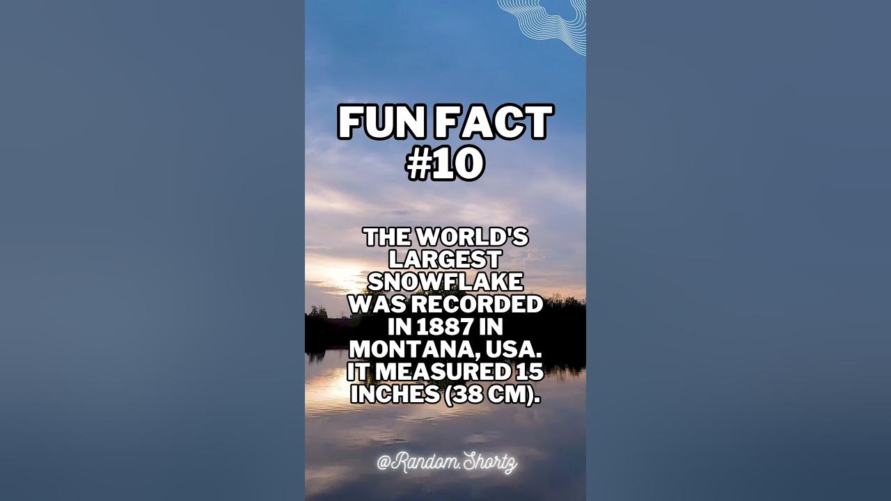 Fun Fact #10 - YouTube