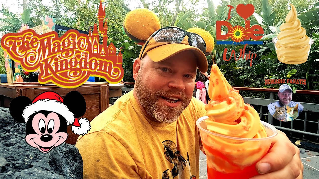 Christmas Time In Magic Kingdom ~ Walt Disney World ~ Dole Whip ...