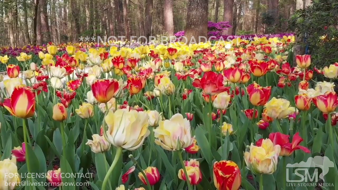 4-21-2019 North Little Rock, AR - Springtime in Arkansas - YouTube