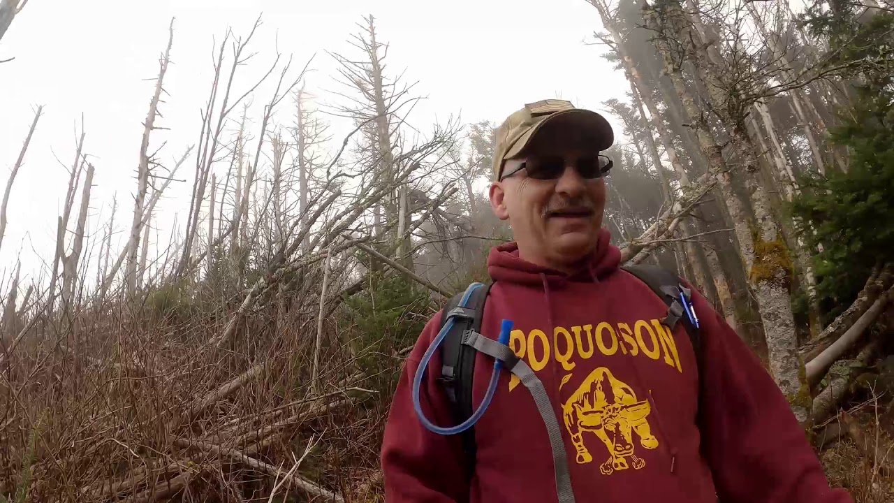 Mt. Mitchell / Mt. Craig Hike NC (Walkthrough) - YouTube