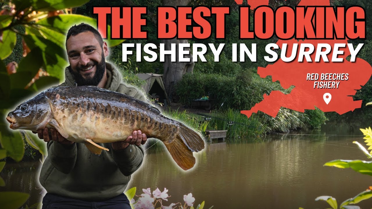 The Best Looking Carp Fishery in Surrey | Red Beeches Fishery | CARP ...