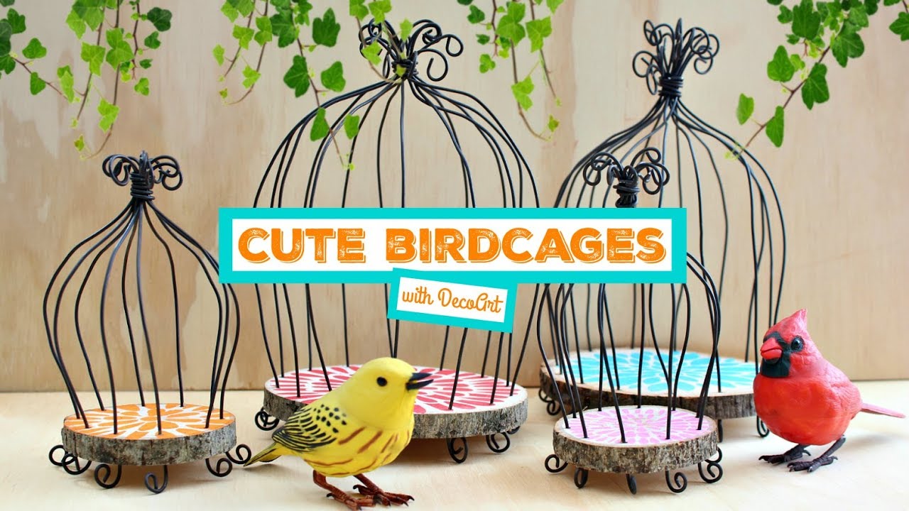 DIY Adorable Birdcage YouTube diy-adorable-birdcage-youtube