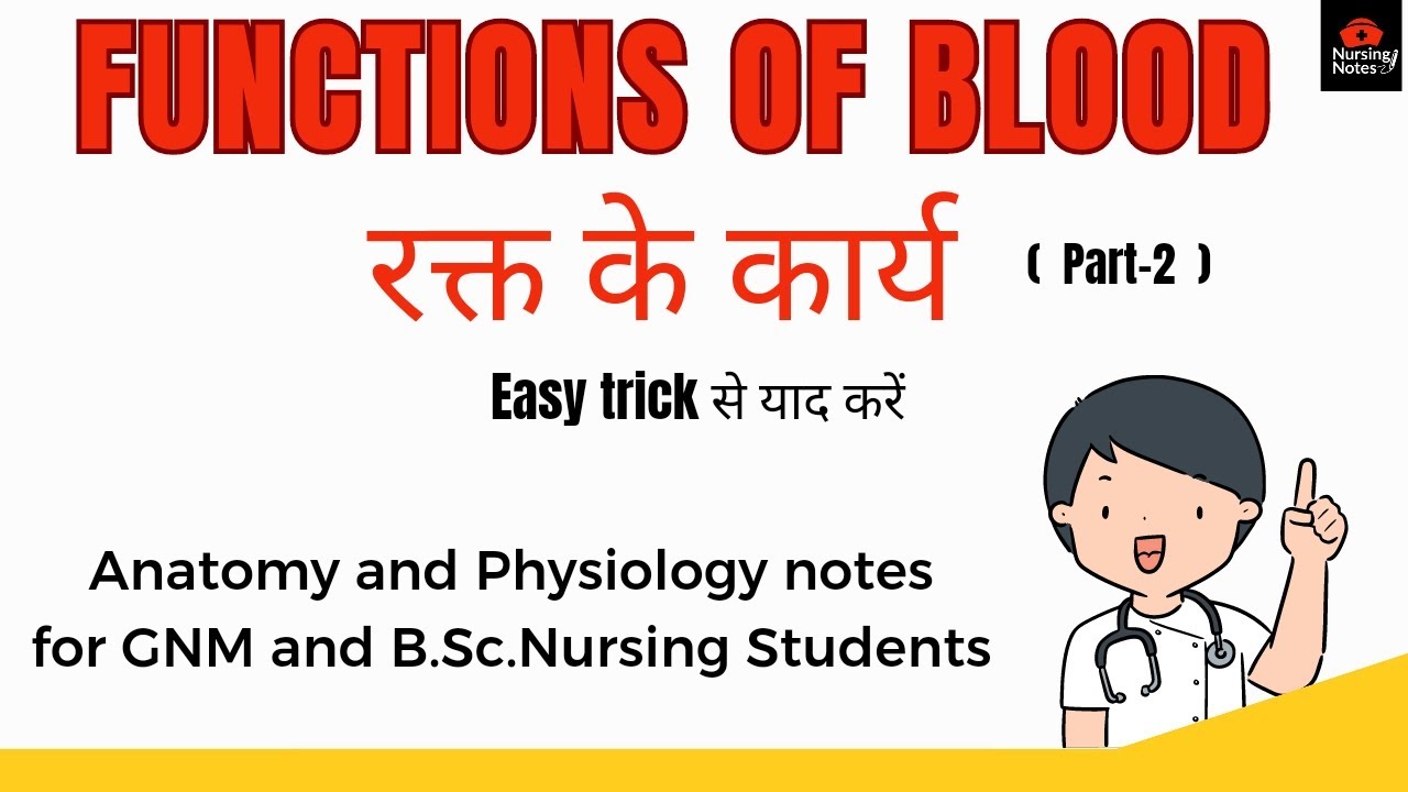EASY TRICK TO LEARN FUNCTIONS OF BLOOD// ANATOMY AND PHYSIOLOGY ...