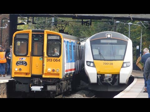 Final Farewell Class 313 064 & 134 Horn Compilation on the Tour - YouTube