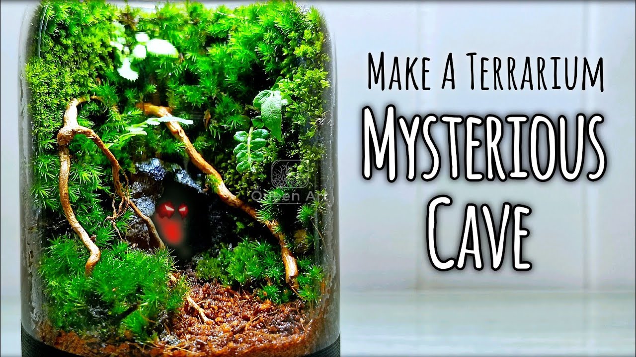Simple Terrarium | Mysterious Cave In Glass Jar - YouTube
