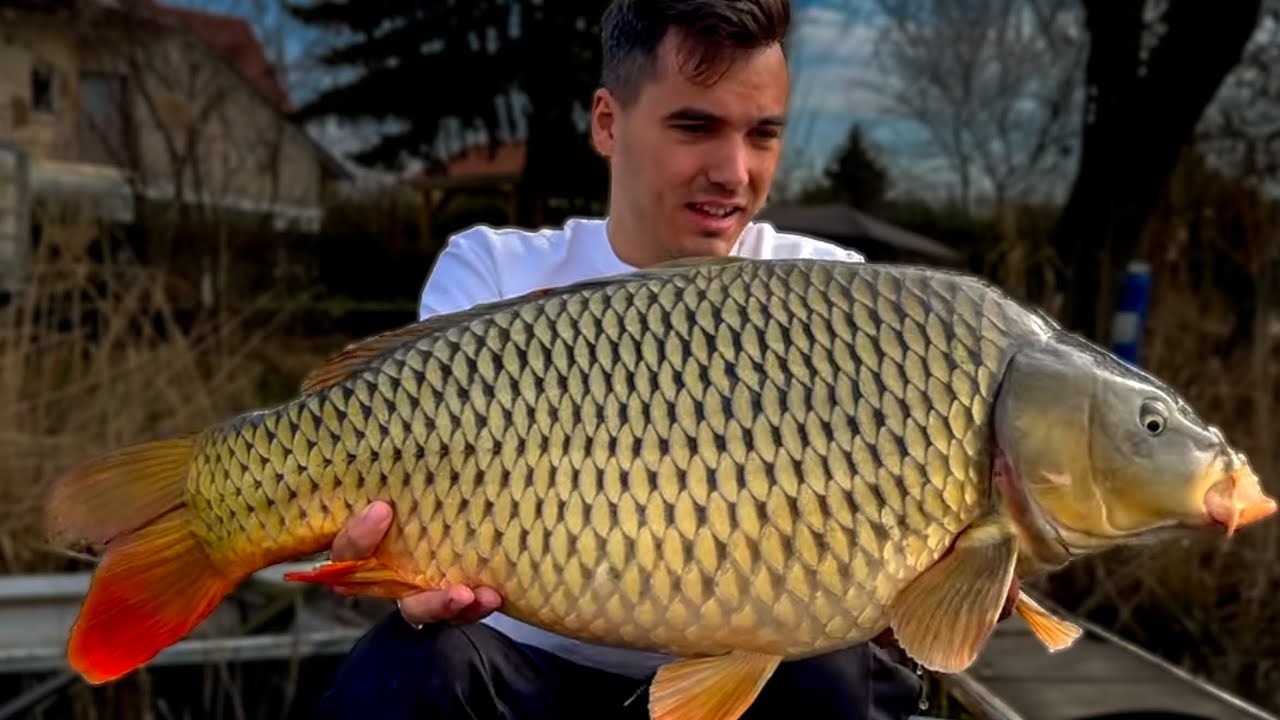 Siket Máté - Method feeder horgászat a Ráckevei Soroksári Duna-ágon ...